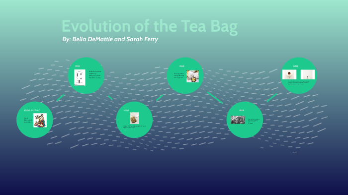 Evolution of the Tea Bag by Sarah Ferry