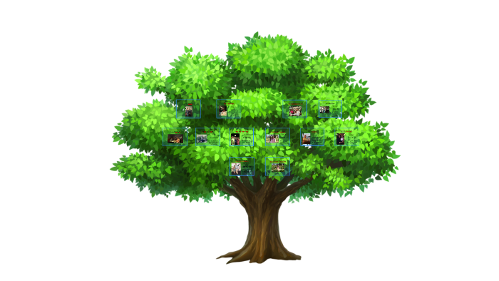 My Family Tree by Courtney Rhoades on Prezi