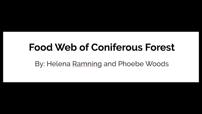 Coniferous Forest Food Web