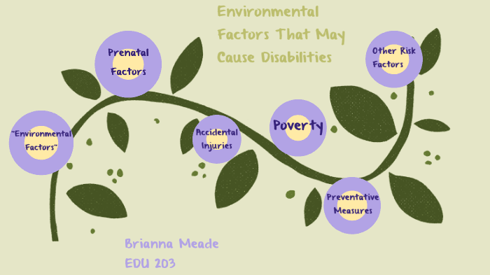 Environmental Factors That May Cause Disabilities by Brianna Meade on Prezi