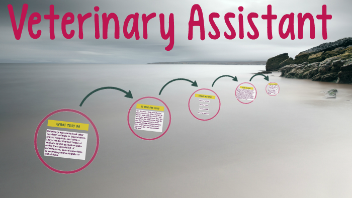 Veterinary Assistant by Savannah Hinkle on Prezi