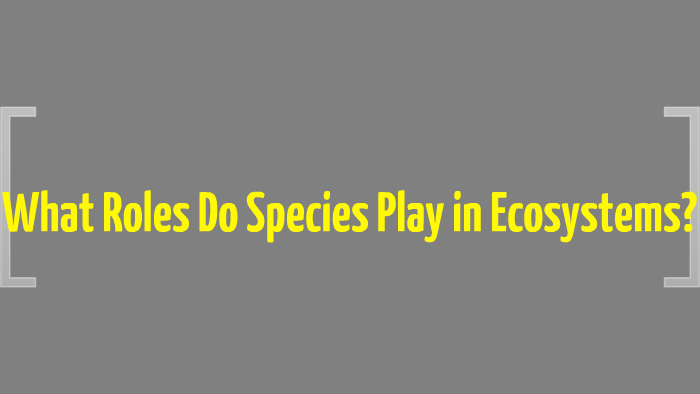 Roles do Species Play in Ecosystems? by David Faure on Prezi