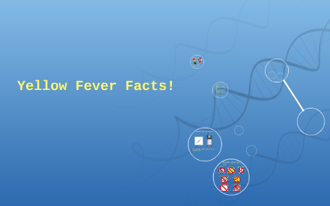 Yellow Fever Facts! by Grace Butler on Prezi