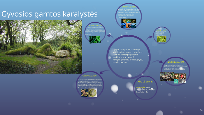 Gyvosios gamtos karalystės: by Neda Kvietkauskaite on Prezi
