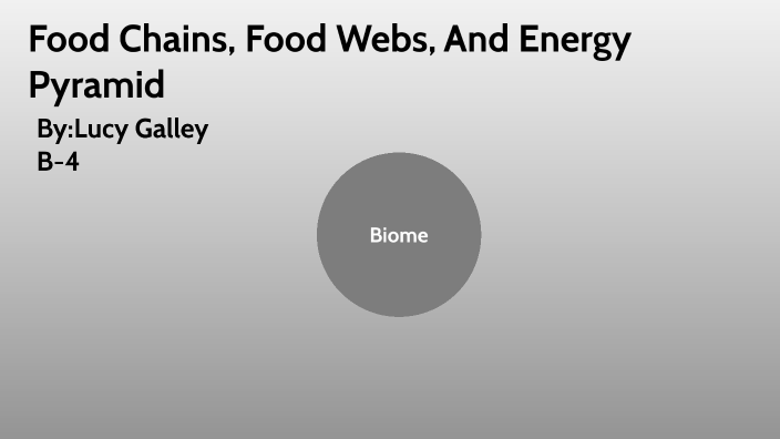 Food Chains, Food Webs, And Energy Pyramid by Lucy Galley on Prezi