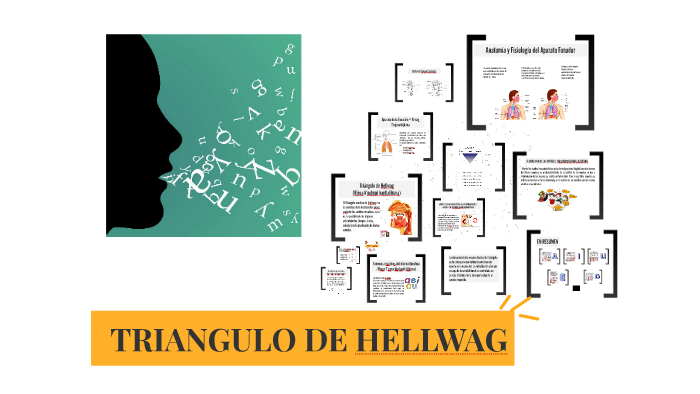 TRIANGULO DE HELLWAG by Claudia Rojas on Prezi