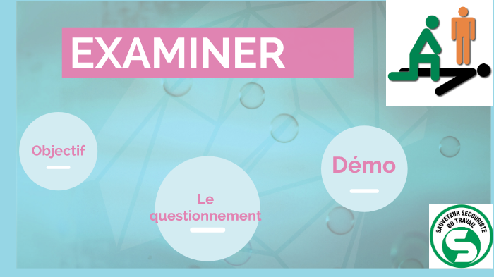 Examiner by SARAH PERROT on Prezi