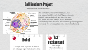 Cell Brochure Project by Joselyn Ruiz on Prezi Design
