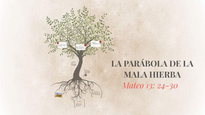 LA PARABOLA DE LA MALA HIERBA by Areli Vanessa Valdés Ciprés on Prezi