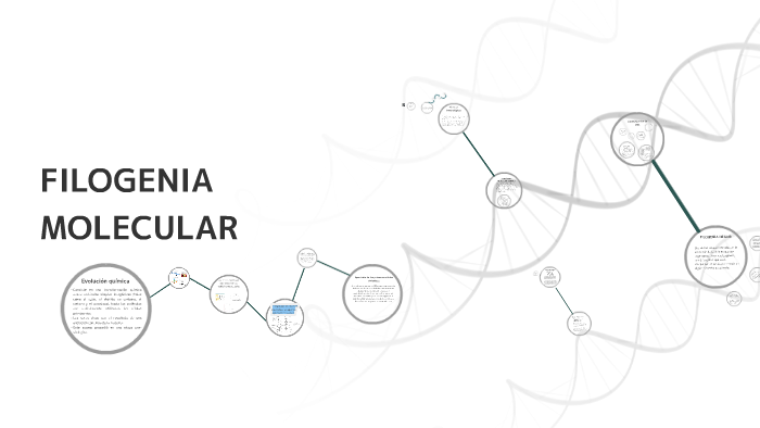 FILOGENIA MOLECULAR by Jorge Gabriel Piedra Garcia on Prezi