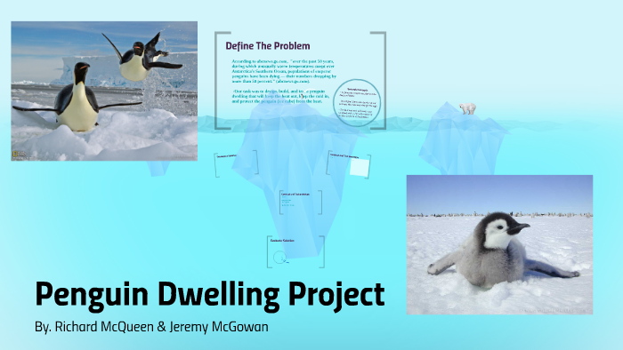 penguin-dwelling-project-by-richard-mcqueen
