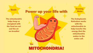 Mitochondria Poster by Brandon Semmel on Prezi Design