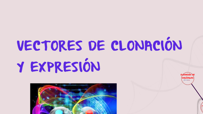 VECTORES DE CLONACIÓN Y EXPRESIÓN by Irazai Melchor on Prezi VECTORES DE CLONACIÓN Y EXPRESIÓN by Irazai Melchor on Prezi