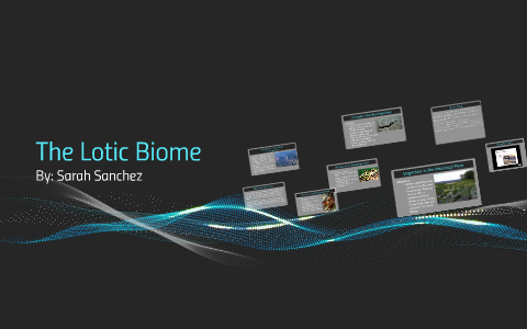 The Lotic Biome by Sarah Sanchez on Prezi