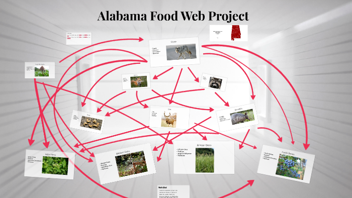 Alabama Food Web Project by Marrsai Harrison on Prezi