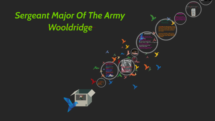 Sergeant Major Of The Army by bryena dunn on Prezi