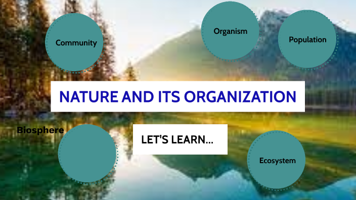 Nature and its organization by Male Ruiz on Prezi