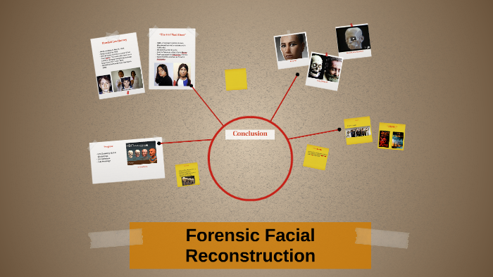 Forensic Facial Reconstruction by Lacey Chapman on Prezi