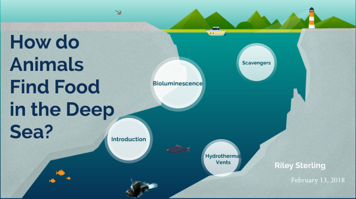 Deep Sea Food by RILEY STERLING on Prezi