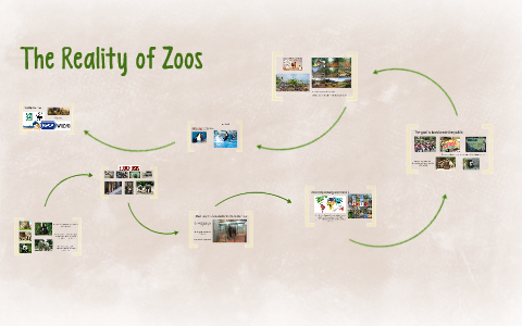 The Reality of Zoos by Alexandra Molina on Prezi