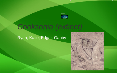 Cooksonia (extinct) by Katie Moore on Prezi