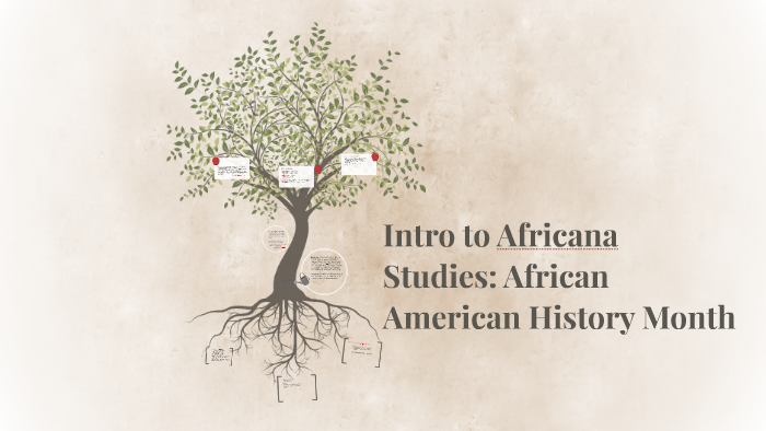 Intro to Africana Studies: African American History by Lola Ames