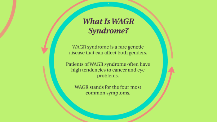 What Is WAGR Syndrome by Amanda Wang