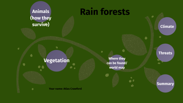 Rain forest mind-map by Atlas Crawford on Prezi