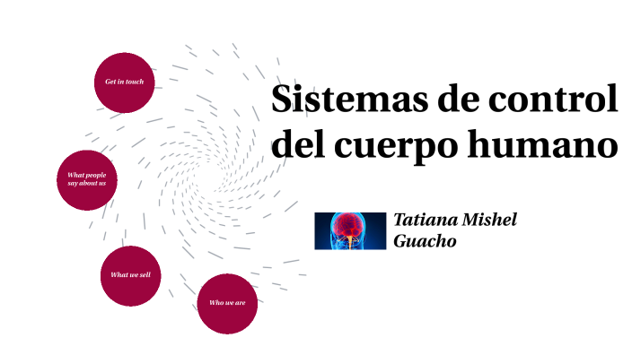 SISTEMAS DE CONTROL DEL CUERPO HUMANO by Tatiana Mishel Guacho Chalán ...