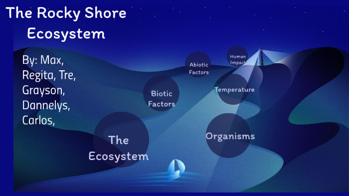 The Rocky Shore Ecosystem by Max Parsons on Prezi