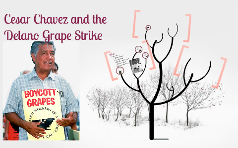 Cesar Chavez and the Delano Grape Strike by Jocelyne Alatorre on Prezi
