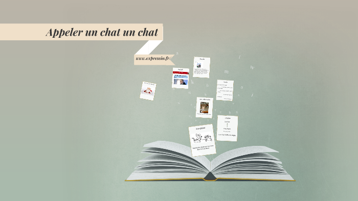 Appeler un chat un chat by Bunthan Iea