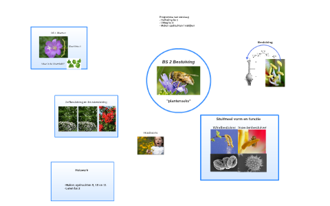 BS 2 Bestuiving by C van Loon on Prezi
