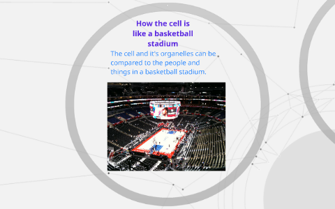 How the cell is like a basketball stadium by max solone on Prezi
