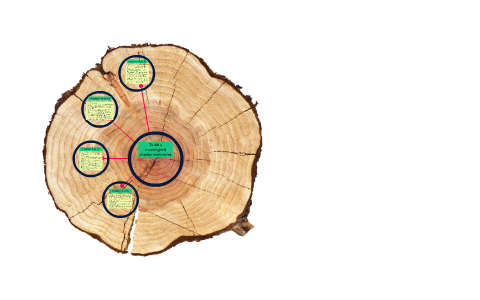 To kill a mockingbird chapter summaries by holly piggott on Prezi