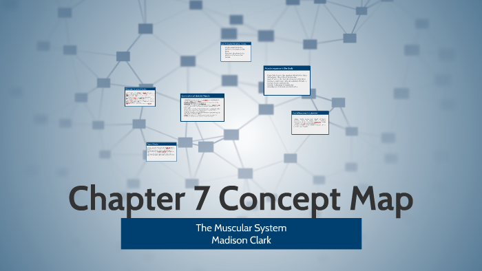 Chapter 7 Concept Map by Maddie Clark