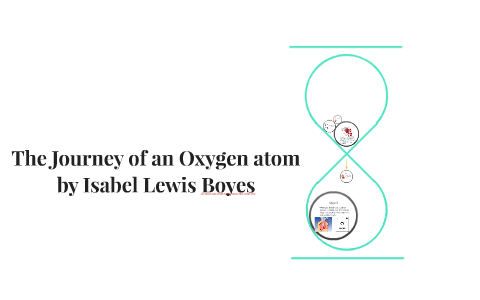 The Journey of an Oxygen atom by Isabel Lewis Boyes on Prezi