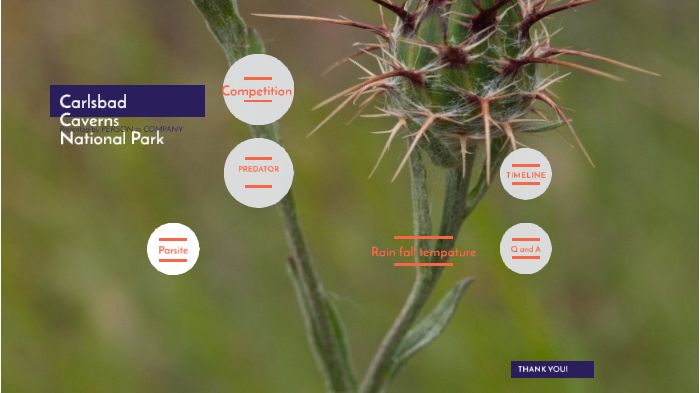 part 3 by Elijah Beltran on Prezi