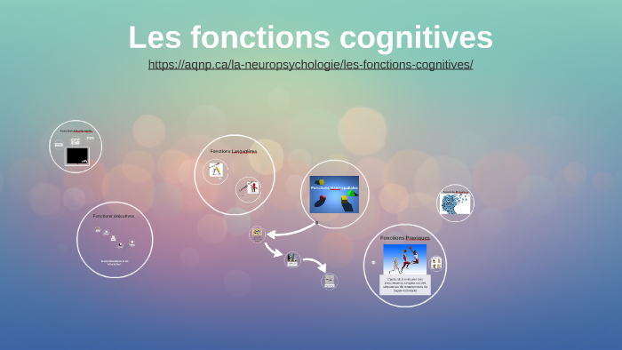 Les fonctions cognitives by Dupuy Pierre on Prezi