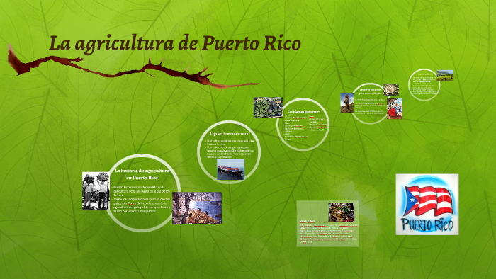 La agricultura de Puerto Rico by Amanda Perez on Prezi