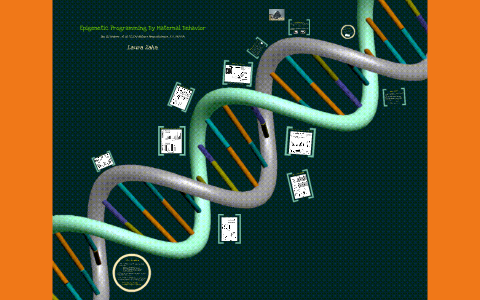 Epigenetic Programming By Maternal Behavior by Laura Zahn on Prezi