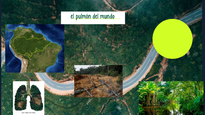 el pulmon del mundo by samuel Hernández on Prezi
