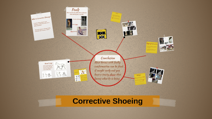 Corrective Shoeing by Shyanne Stillwell on Prezi