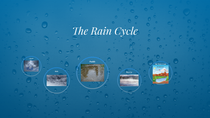 The Rain Cycle by George Mutz on Prezi