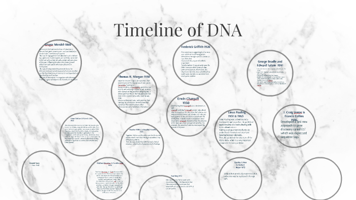 Timeline of DNA by Peter Liberopoulos on Prezi