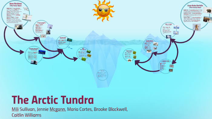 Arctic Tundra Biome by Mili Sullivan on Prezi