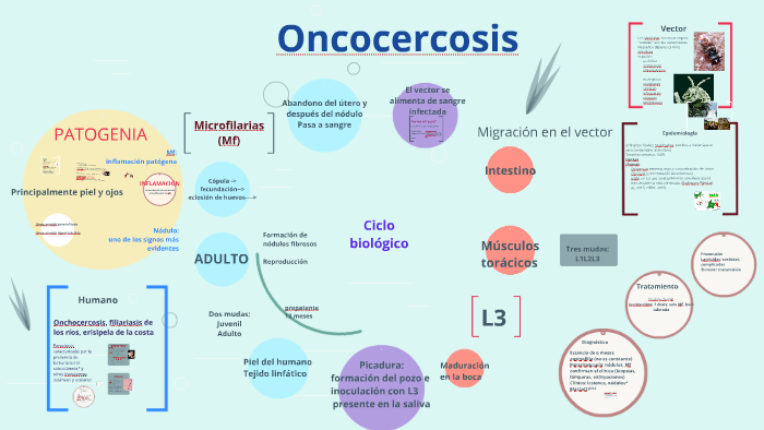 Oncocercosis by hugo blas on Prezi