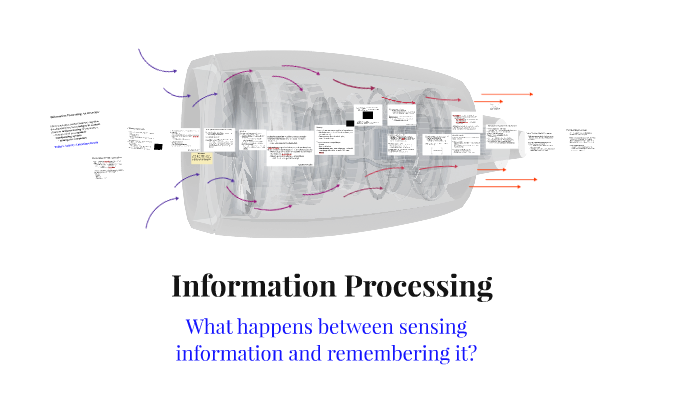 Information Processing by Joe Anistranski on Prezi