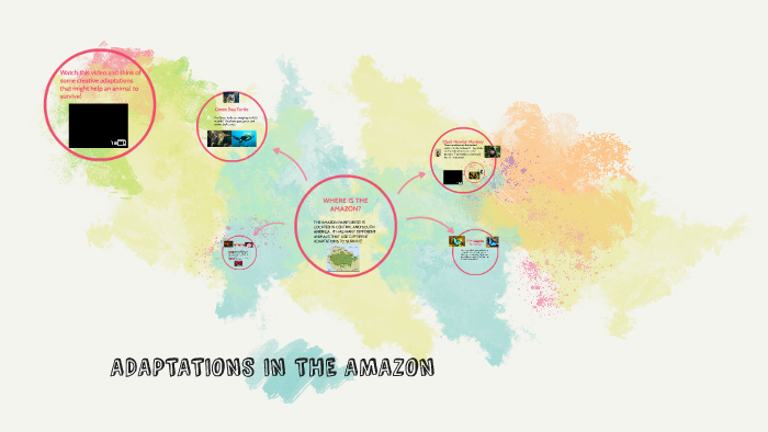 ADAPTATIONS IN THE AMAZON by Elizabeth Pino on Prezi