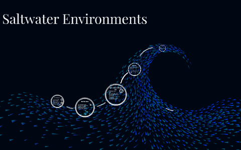 Saltwater Environments by joey egeland on Prezi
